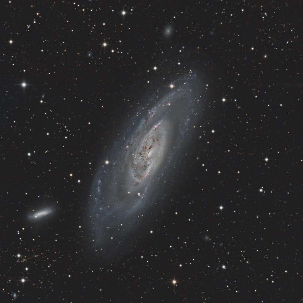M106 Galaxy – Frank's Observatory