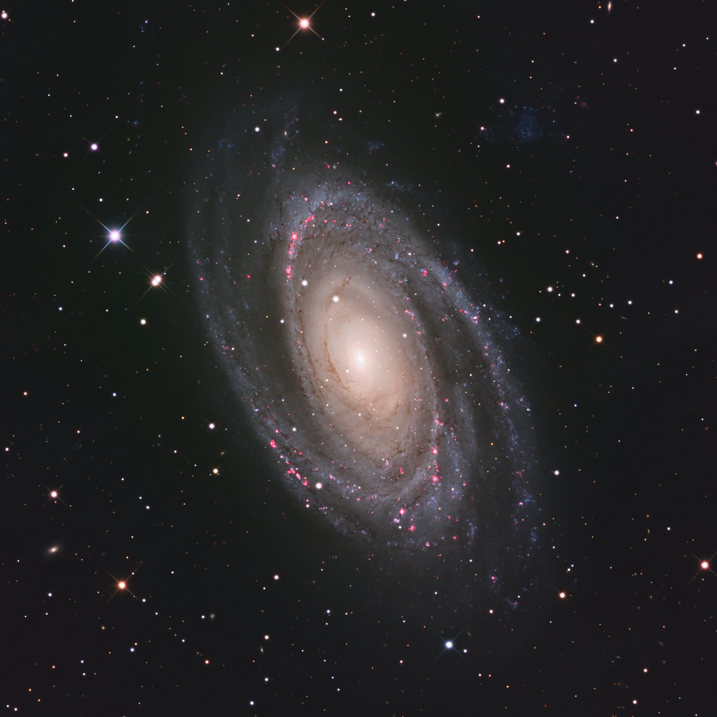 M81 Galaxy – Frank's Observatory